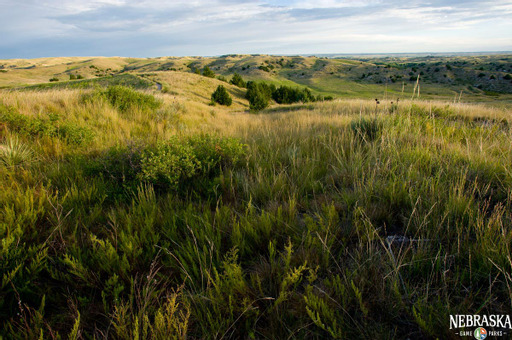 Ash Hollow State Historical Park – Nebraska Lepidoptera: A Guide to ...