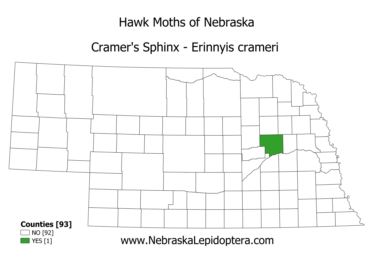 #7836 crameri – Nebraska Lepidoptera: A Guide to Nebraska Butterflies ...