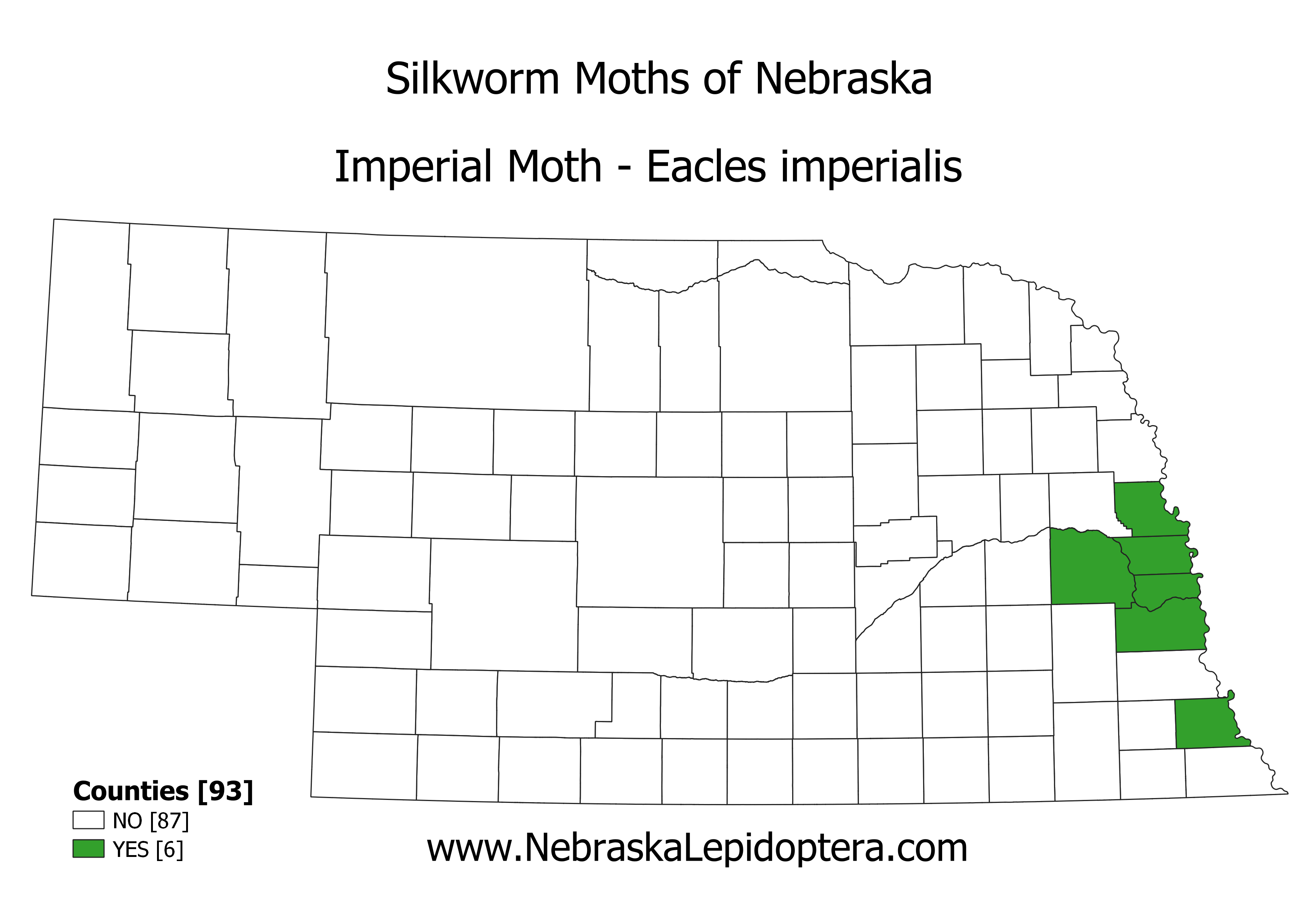 #7704 imperialis – Nebraska Lepidoptera: A Guide to Nebraska ...