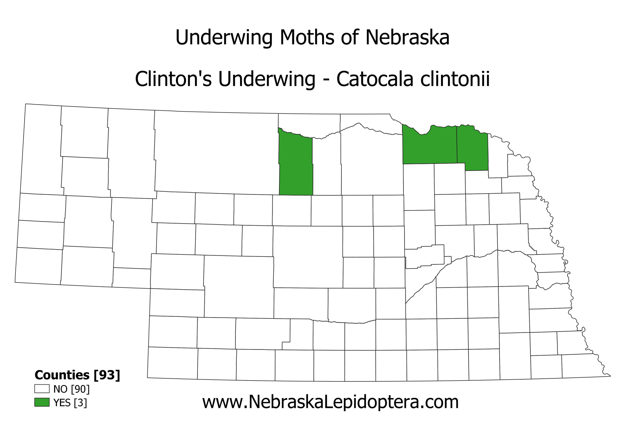 #8872 clintonii – Nebraska Lepidoptera: A Guide to Nebraska Butterflies ...
