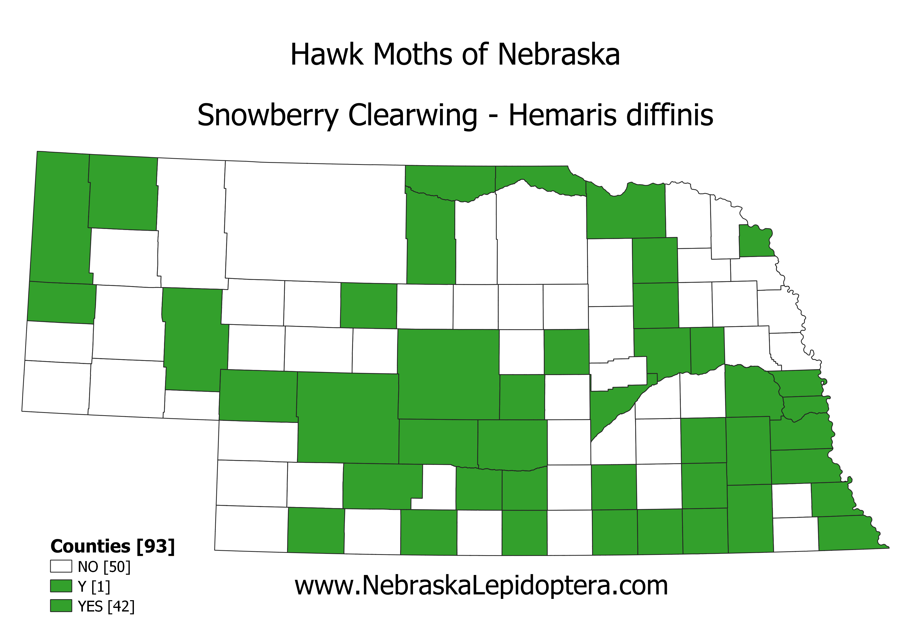 New Moth Records – Nebraska Lepidoptera: A Guide to Nebraska ...