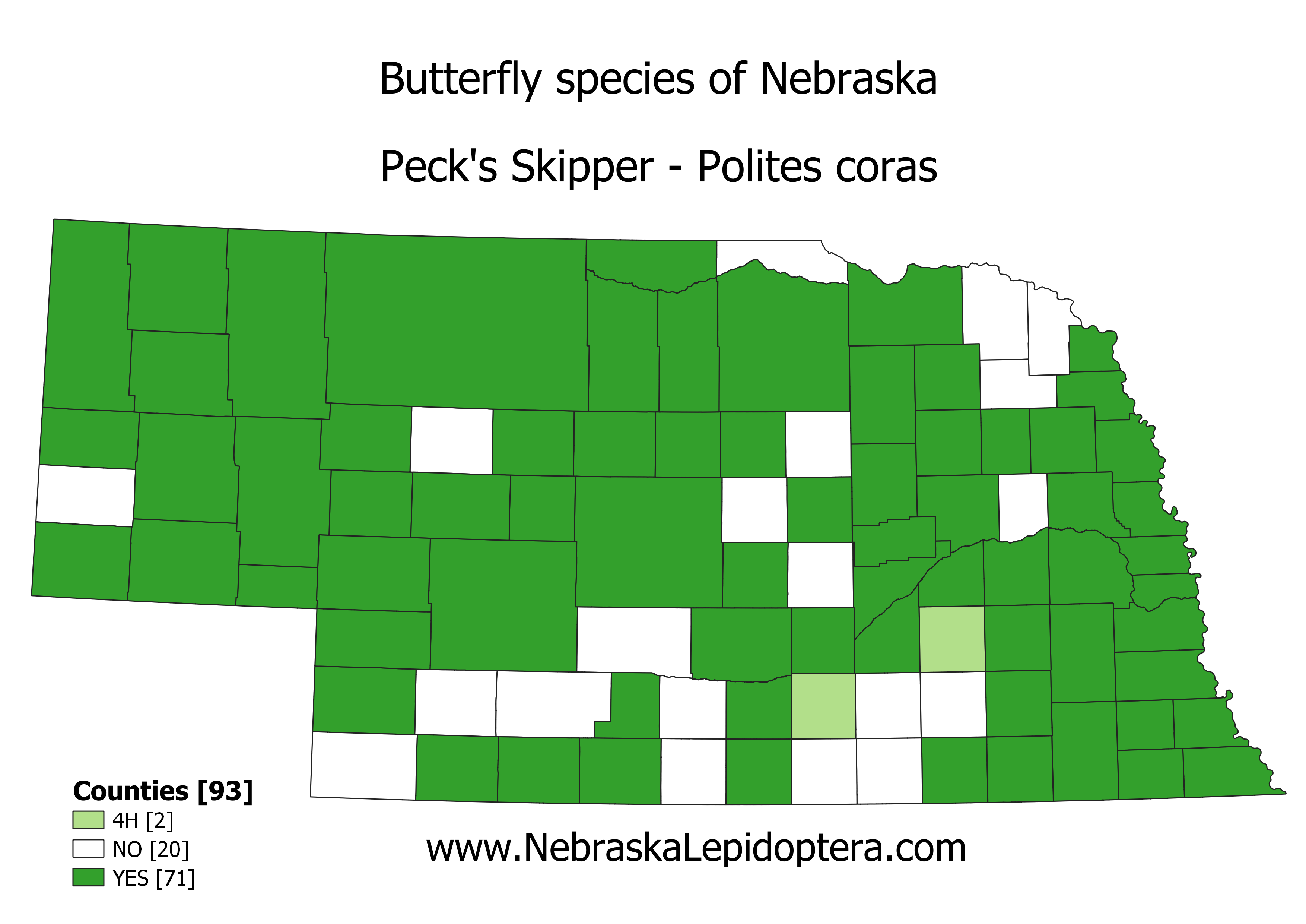 Species Page: Peck’s Skipper (Polites peckius) – Nebraska Lepidoptera ...